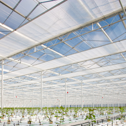 Greenhouse screening - DutchGreenhouses