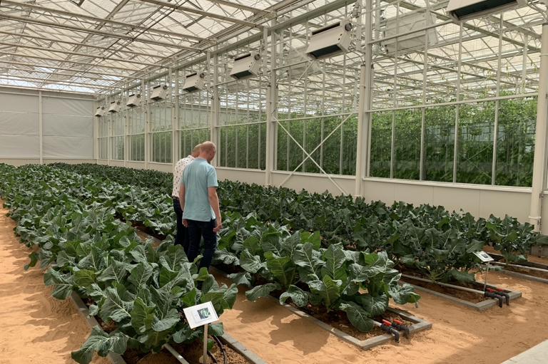 Grower-Services - DutchGreenhouses