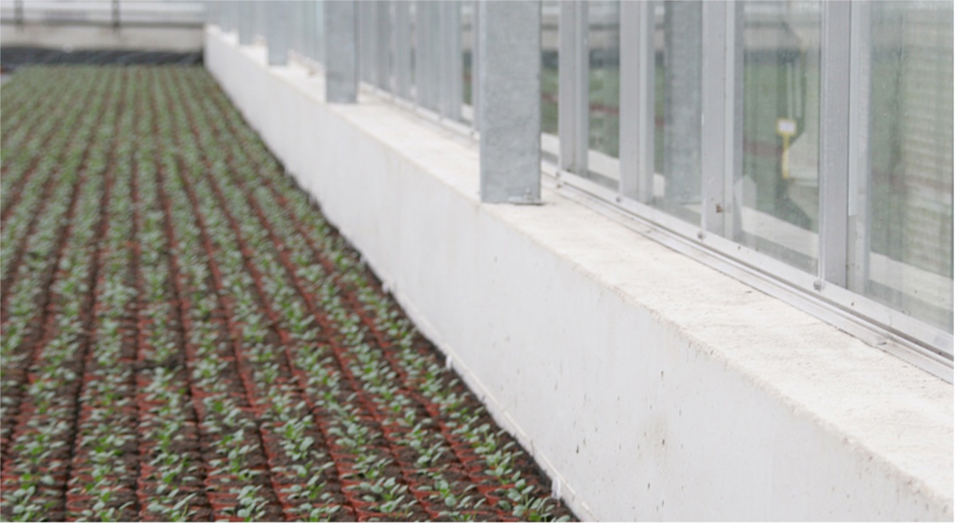 Greenhouse Foundation - DutchGreenhouses
