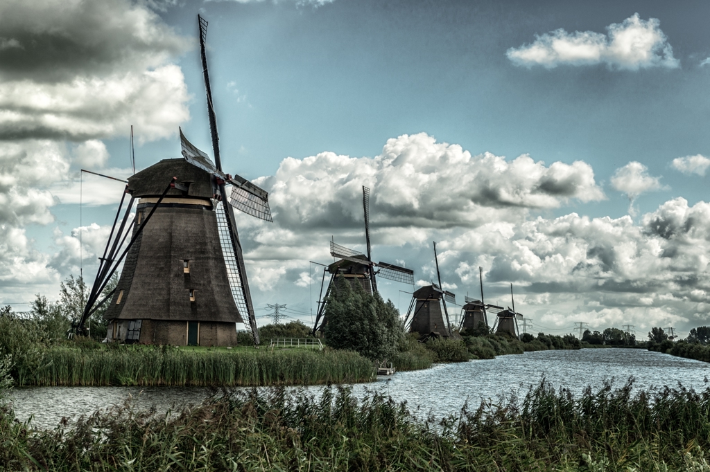 Implementing the Dutch Approach in Greenhouses - DutchGreenhouses