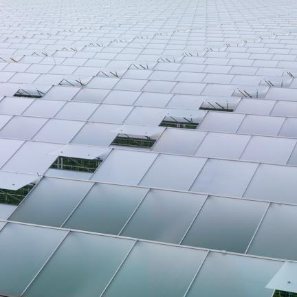Greenhouse Glass - Glass covering - DutchGreenhouses