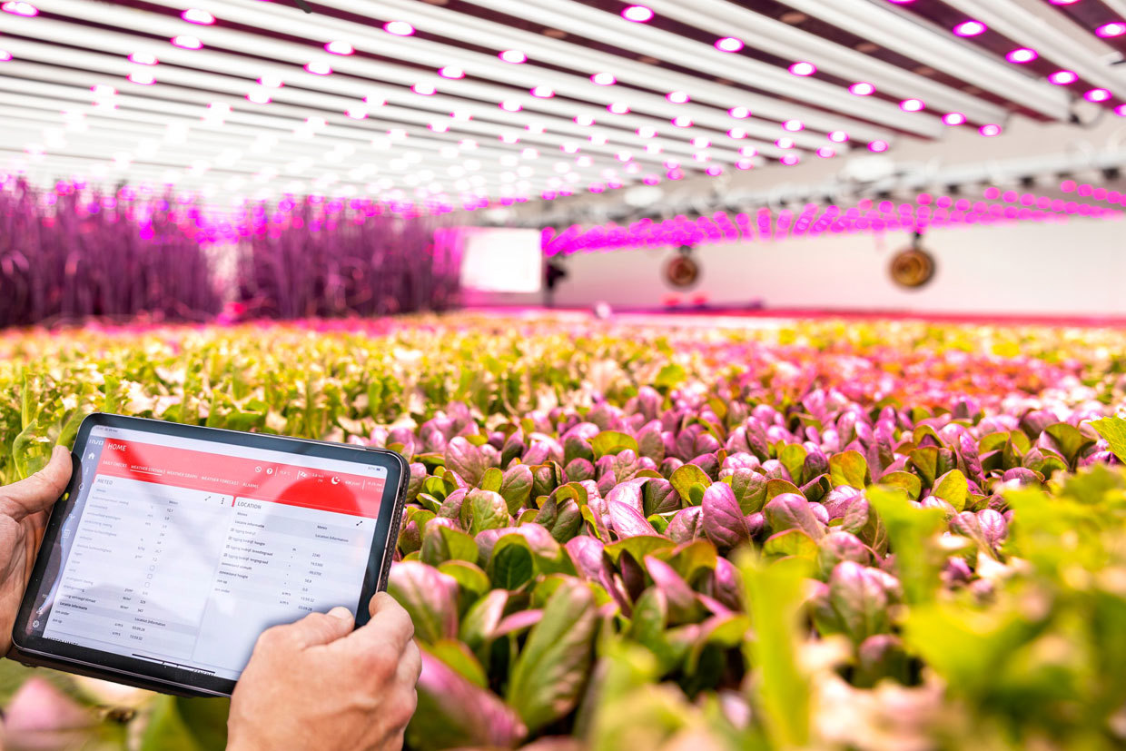 Indoor Farming - DutchGreenhouses