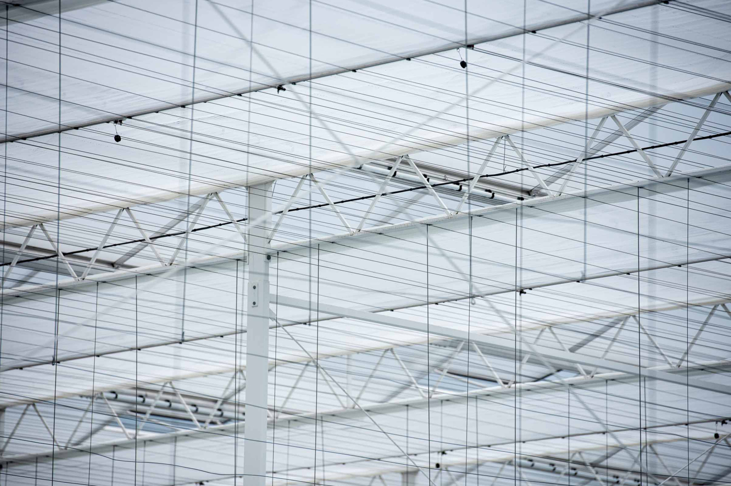 Diffuse Screens - DutchGreenhouses