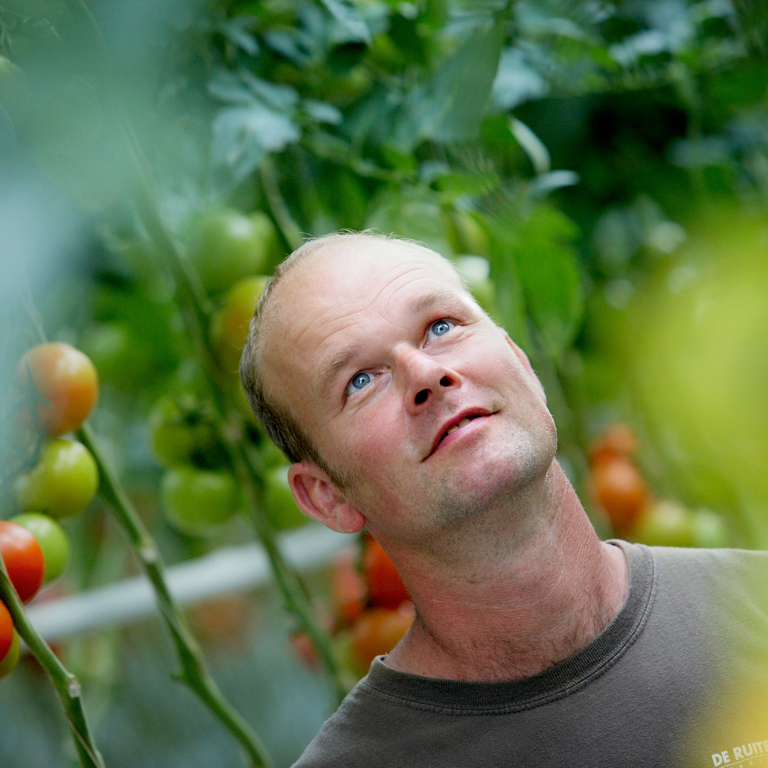 Energy Screens - DutchGreenhouses